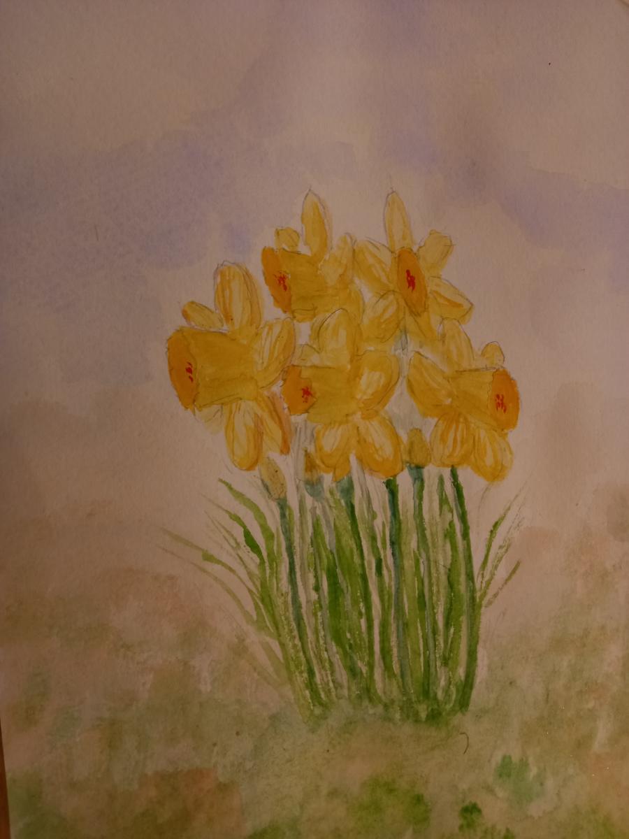 Painting for Pleasure – Cardiff u3a