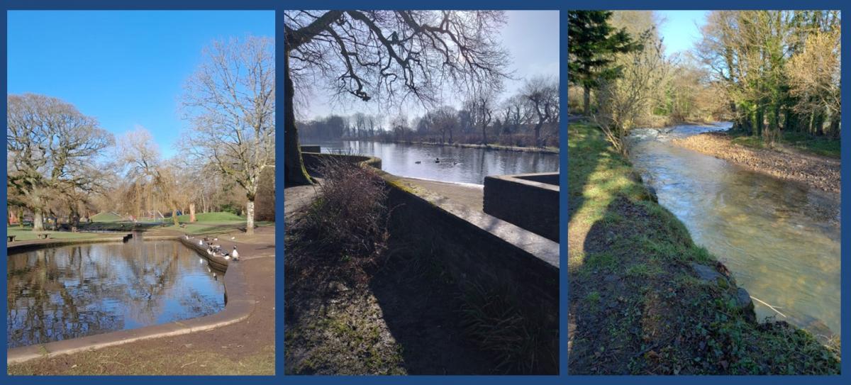 Slow Train Coming – Cardiff u3a