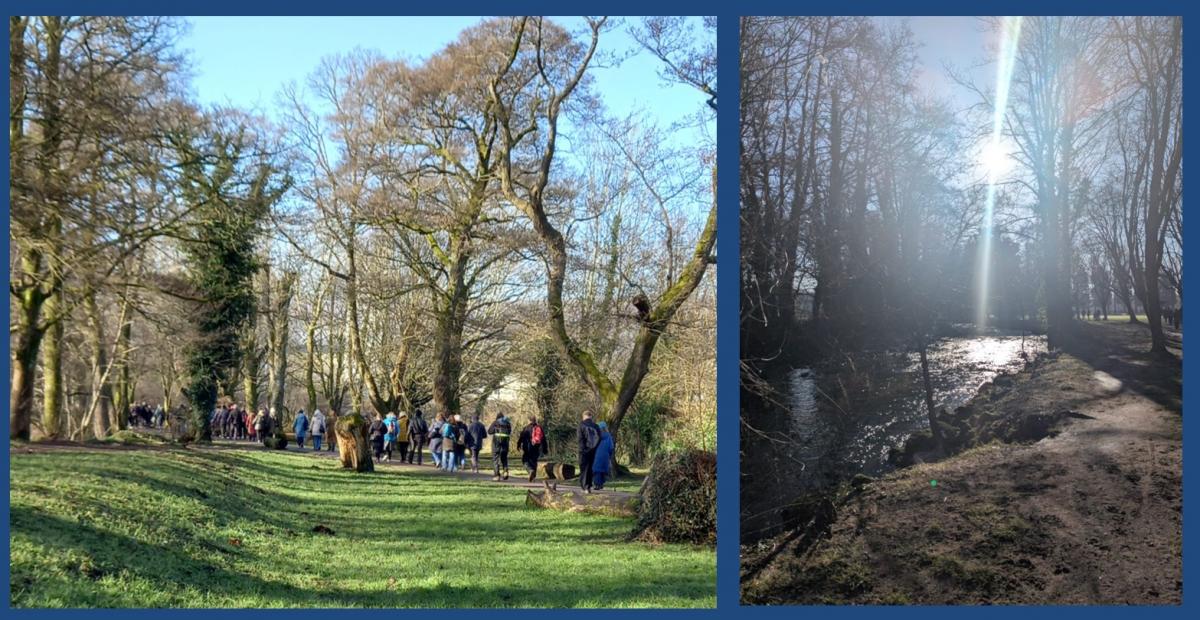 Slow Train Coming – Cardiff u3a